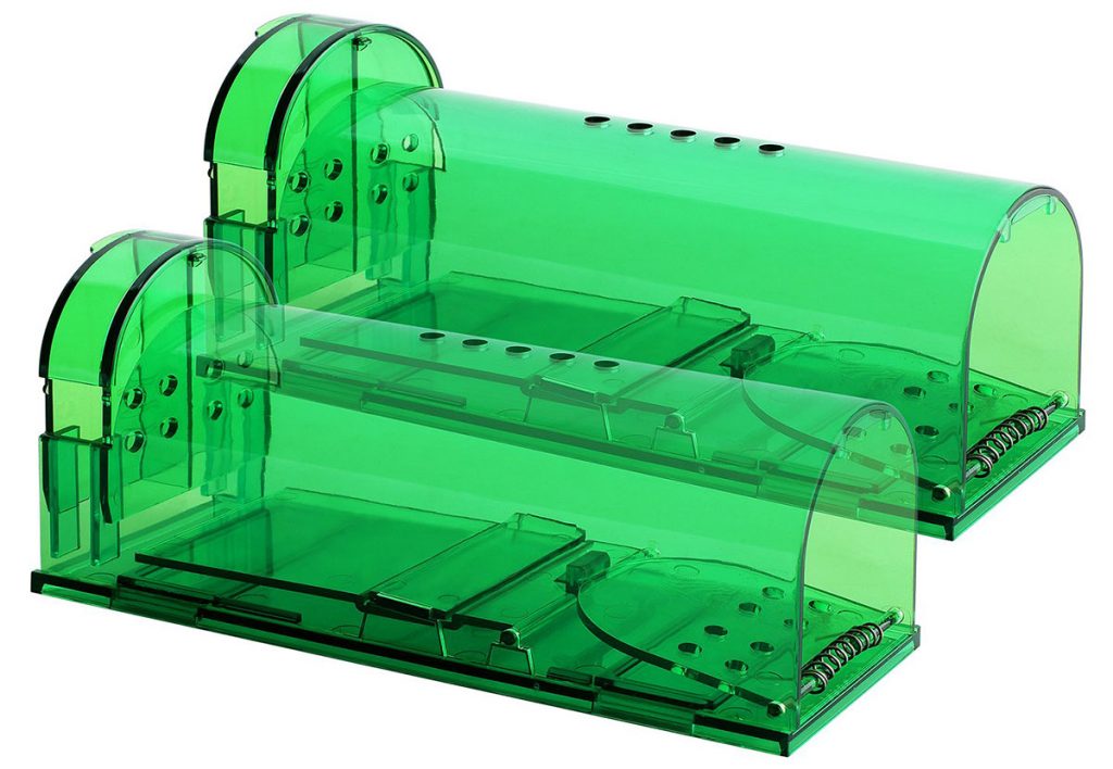 Best Humane Mouse Traps That Work - Mr. Mouse Trapper