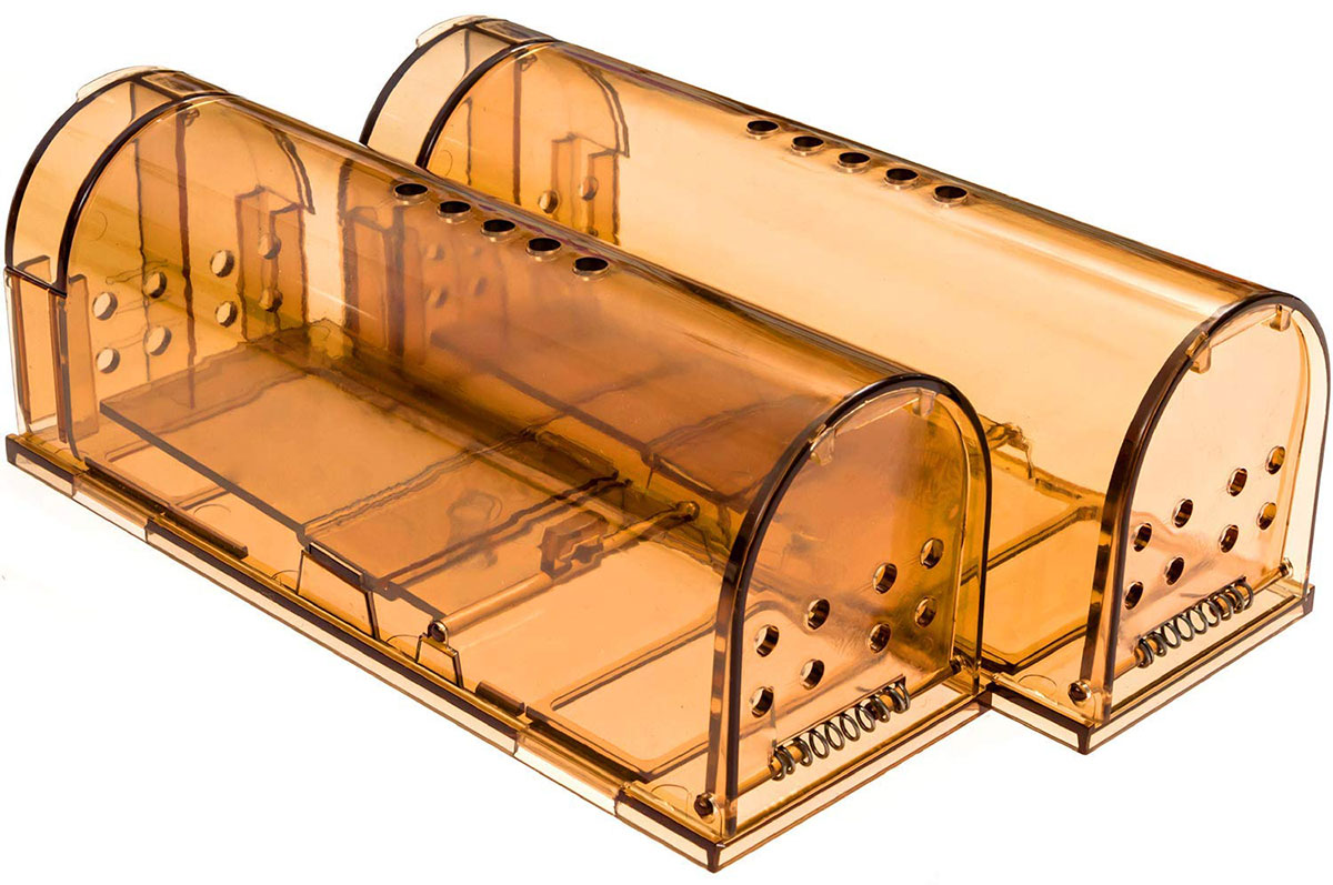 Best Humane Mouse Traps That Work - Mr. Mouse Trapper