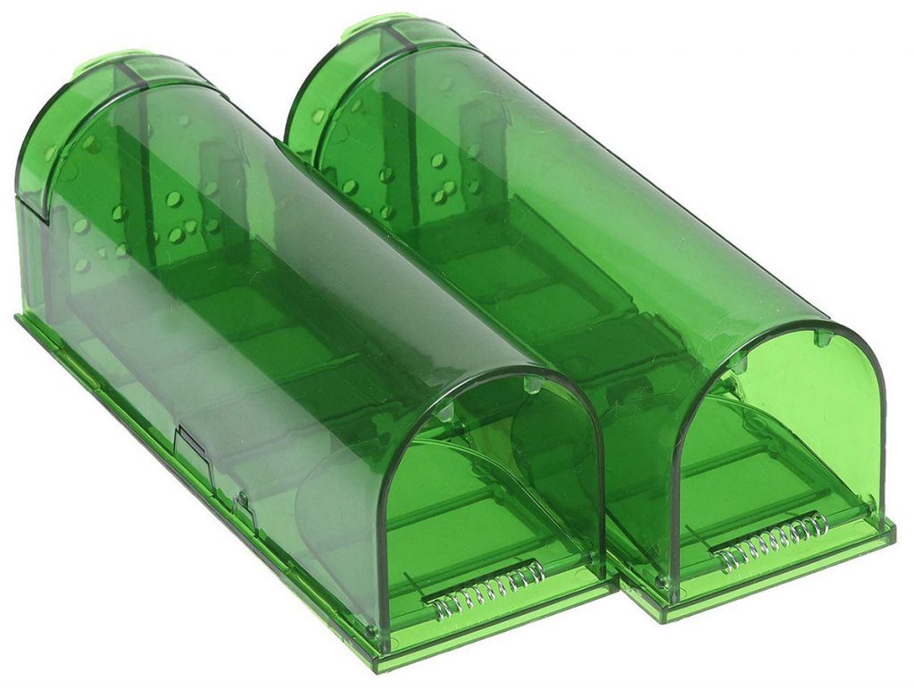 Best Humane Mouse Traps That Work - Mr. Mouse Trapper